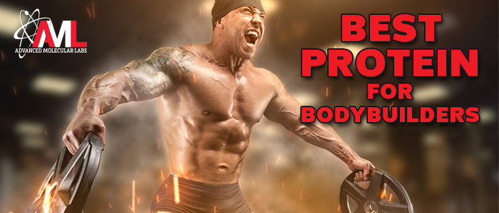 Best Protein for Bodybuilders are Amino Acids
