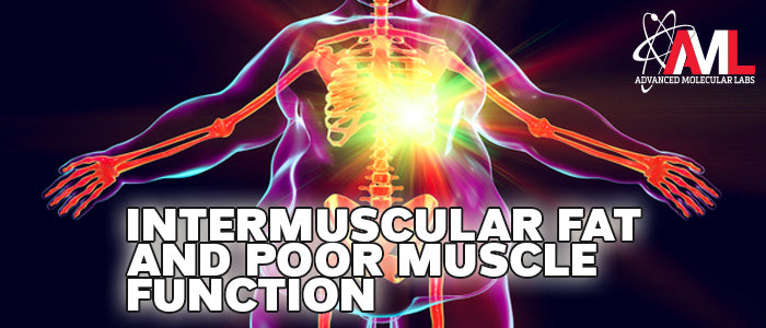 Intermuscular Fat and Poor Muscle Function