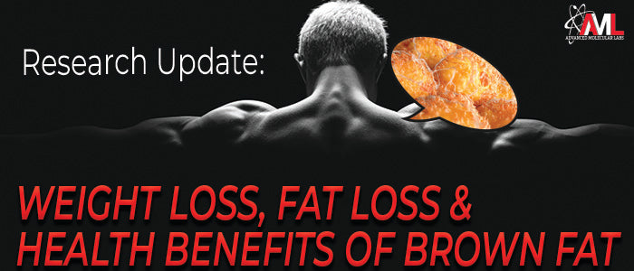 Benefits of Brown Fat for Weight Loss and Fat Loss - AML